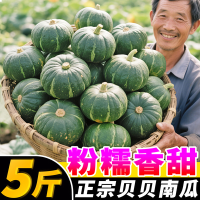 正宗贝贝南瓜5斤板栗味新鲜日本老瓜正品惠和一号小南瓜粉糯香甜9