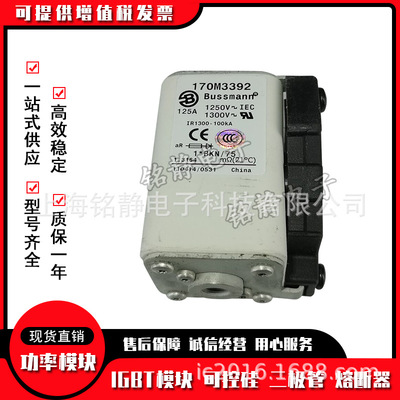 熔断器170M3363 170M3364 170M3365 170M3366 170M3367