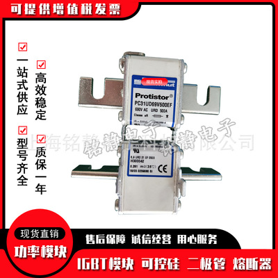 全新现货PC31UD69V400D1A  L300022熔断器