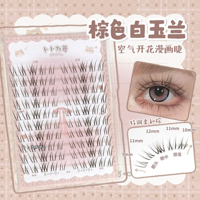 混血绒绒温柔感「棕色白玉兰」假睫毛自然款漫画湿尖亚裔感 bb08