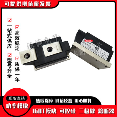 TZ310N26KOF TZ310N24KOF TZ310N22KOF功率可控硅现货TZ310N20KOF