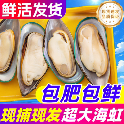鲜活青口贝特大海虹新鲜海捕贻贝淡菜野生贝类海鲜水产顺丰10斤