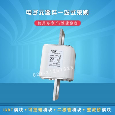 巴斯曼快速熔断器170M6694 6695 6696 6697 6698 6699 6700 6701