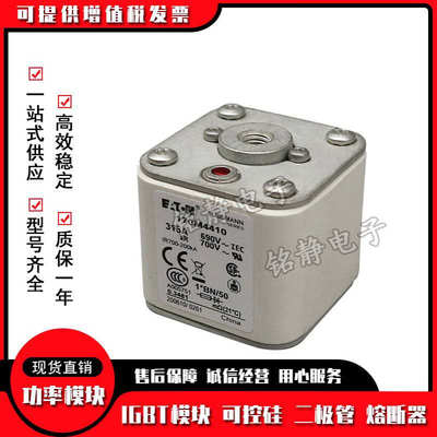 170M4493 170M4494 170M4495 170M4496巴斯曼熔断器现货170M4497