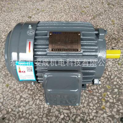 工厂直发电机TEGH90L-4 2HP 1.5KW 4P AEEF2N 90L B3 IP55