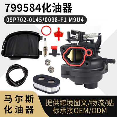 799584 594058 化油器 594057 592361 TB200 103M02 09P702 carb