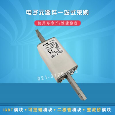 现货快速熔断器保险丝170M3669 3670 3671 3672 3673 3675 3678