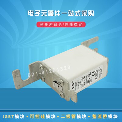 快速熔断器保险丝170M3066 3067 3068 3069 3070 3071 3072 3073