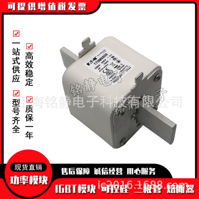 170M6067 170M6068 170M6069 170M6070巴斯曼熔断器170M6071