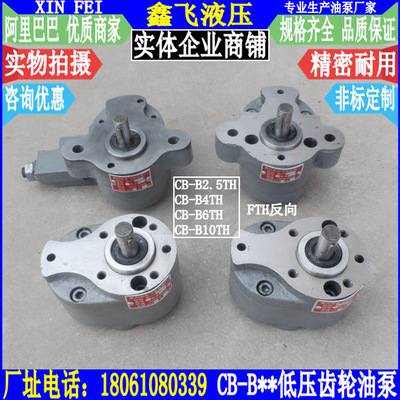 CB-B10TH CB-B2.5TH CB-B4TH CB-B6TH B16TH B20TH/FTH齿轮油泵头