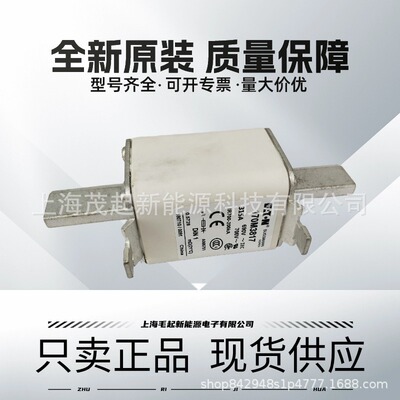 170M3815 170M3817 170M3810D 170M3812D 170M5806 巴斯曼熔断器