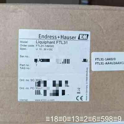 EH音叉液位开关 FTL31-AA4U2AAXCJ议价