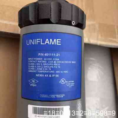 FORNEY 401111-21火检探头，正品，议价