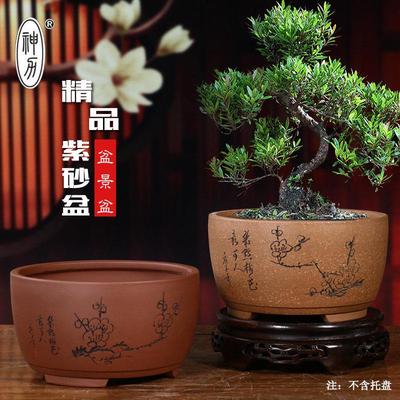 神力宜兴精品紫砂盆大口径透气兰花盆多肉花盆菖蒲盆栽陶瓷兰花盆