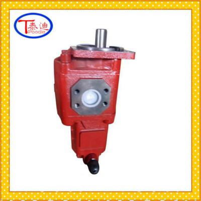 CBGj2063/1010-XF双联齿轮泵 柳工装载机双联泵 CC12323