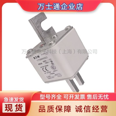 170M4308 170M4309 170M4310 170M4311 170M4312 170M4313熔断器