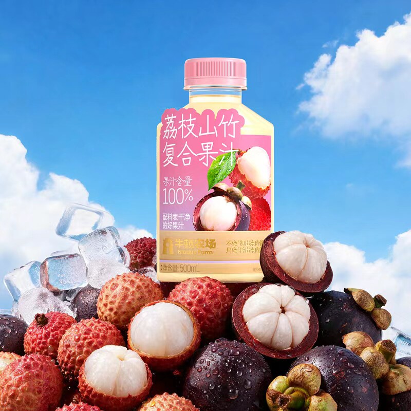 牛顿农场荔枝山竹复合果汁500ml纯果蔬汁9瓶装清凉解渴夏日饮品