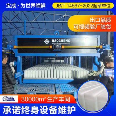 宝成大型制冰机1-300吨直冷式块冰机条冰机冰砖机