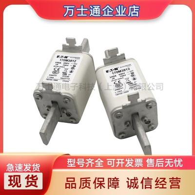 170M3808D/3809D/4863D4867D/5814D/5820D/5816D/5817D熔断器