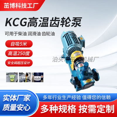 KCG高温齿轮泵 高温热油泵 导热油泵 电动高温润滑液体循环泵