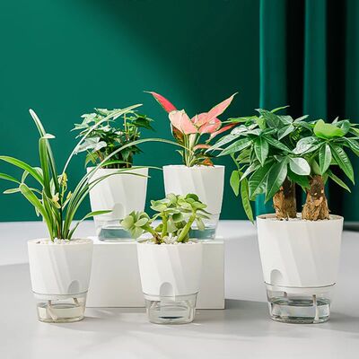 Lazy Hydroponic Flower Pot Automatic Water-Absorbing Flowerp