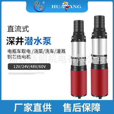 直流深井泵2叶太阳能潜水泵12v24v48v60v不锈钢电瓶车井水抽水泵