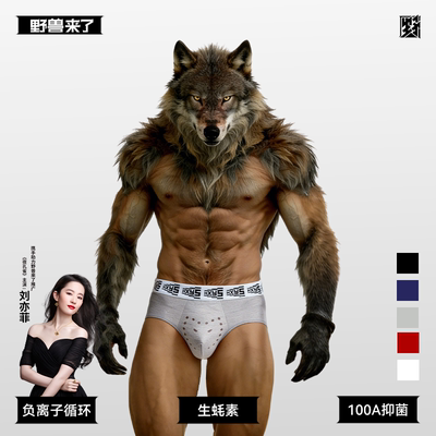 男士纯棉三角裤100A抗菌生蚝养护