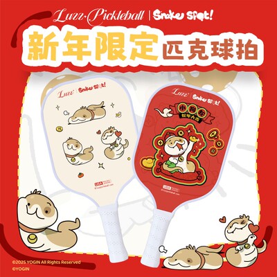 喷砂usapa认证碳纤维匹克球拍板