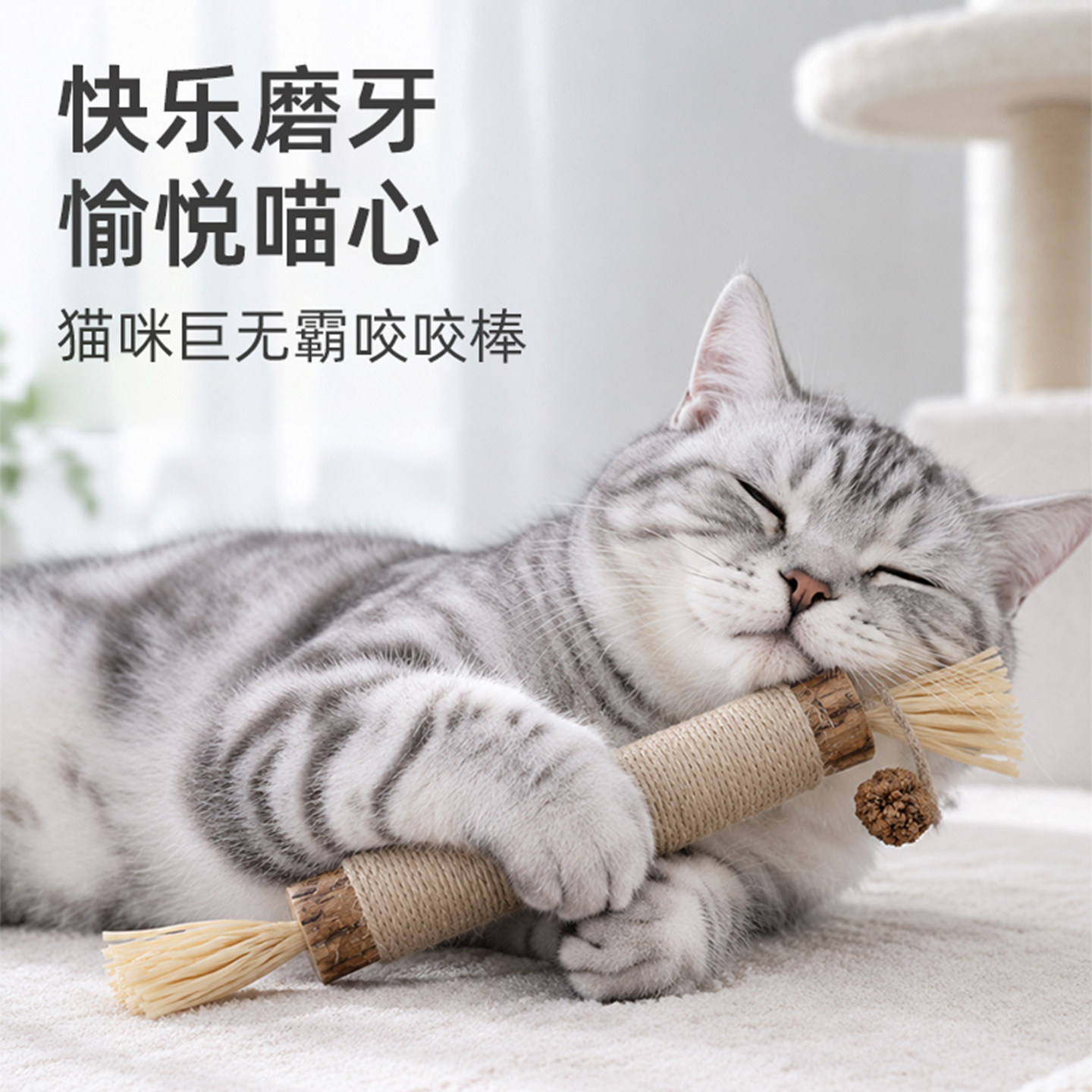 木天蓼磨牙棒猫玩具自嗨解闷猫薄荷球逗猫棒耐咬猫咪用品养猫玩具