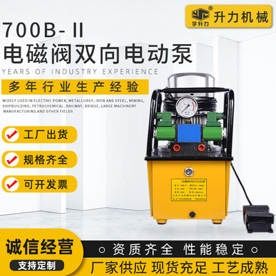 电磁阀双向电动泵700B-Ⅱ同步顶升泵站 高压电动油泵双回路液压泵