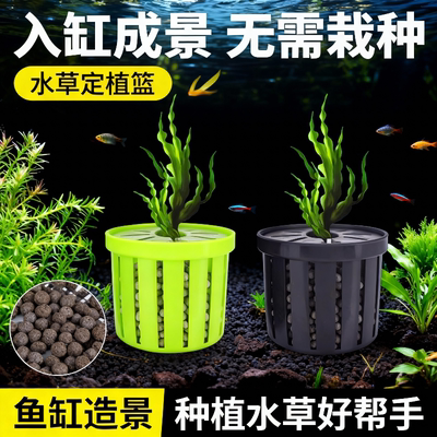 鱼缸水草定植固根造景
