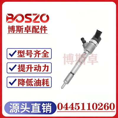 BS/0445110260 全新共轨喷油器0305BC0401N适用于Mahindra 2.5发