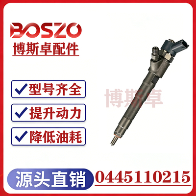 BS04512喷油嘴总成367-共