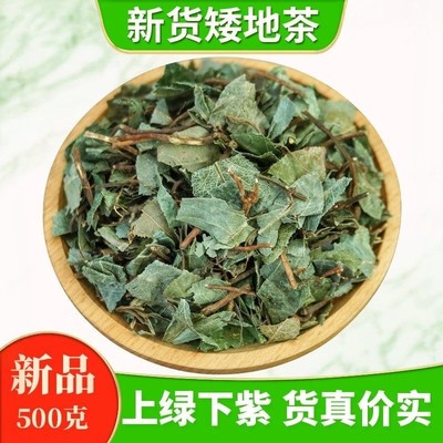 中药材平地木野生矮茶不出