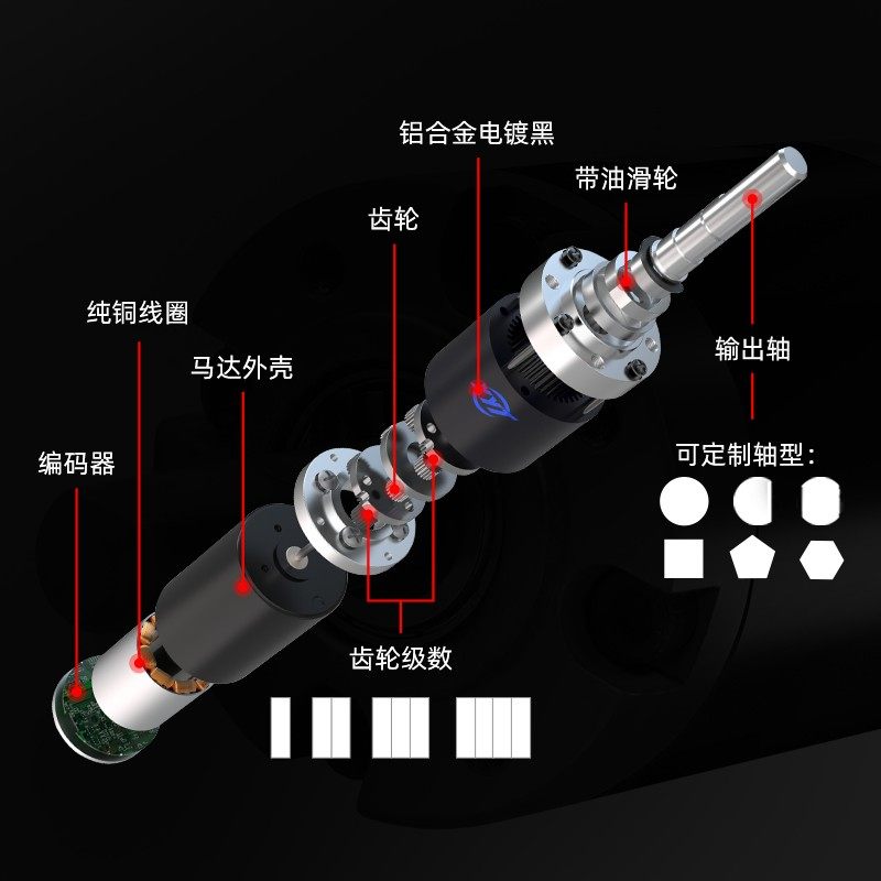 2838微型直流减速电机12v24v可调速小型正反转行星齿轮马达电动机