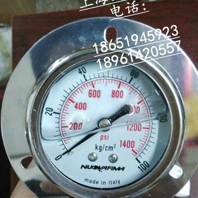轴向带边耐震压力表 YN60-ZT 0-10MPA/100KG/1400Psi 仿意大利表