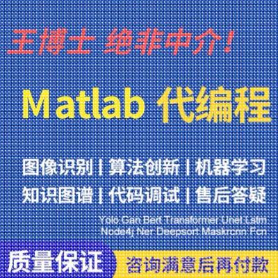 matlab代码帮做程序代编覆现问题解决simulink建模彷真代做