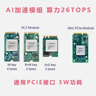 Ai计算机器视觉无人机监控视频图像分析边缘计算加速Hailo-8Npu卡