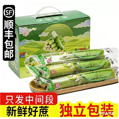 顺丰陶山产的青皮甘蔗现货绿皮果蔗温州特产水果当季5斤礼盒送礼
