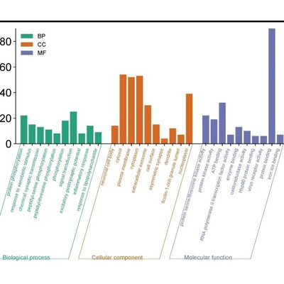 网络药理学中药复方分子对接药物筛选单细胞转录组多组学