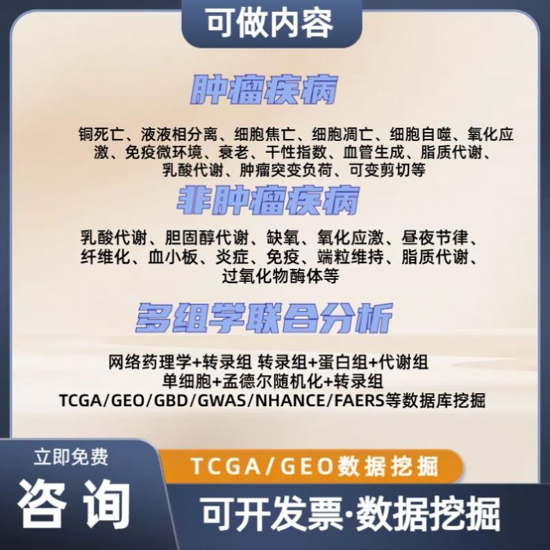 影像组学分析服务 医学图像特征提取 模型构建 科研合作