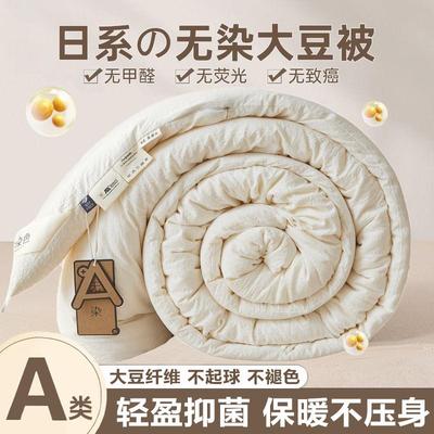 A类母婴级原棉大豆纤维被子冬被加厚10斤春秋被薄款被芯四季通用