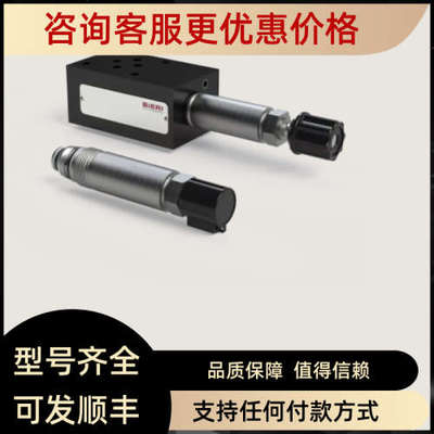 议价BIERI 比利 泄压阀DB500/700/1000AKP103-01-500-V-A00