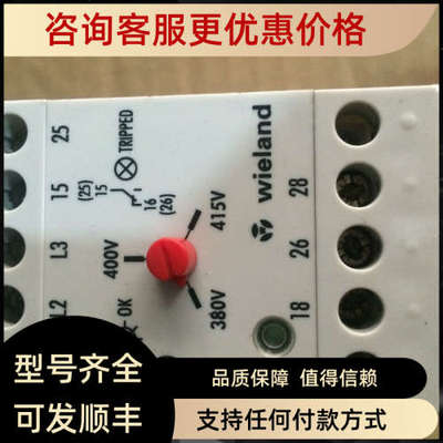 议价继电器SPW1004 R3.183.0040.0