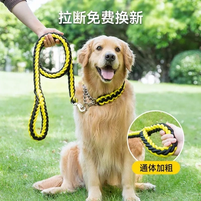 大型犬彩色八股编织大狗金毛牵引绳p链加粗防爆冲狗绳子宠物用品