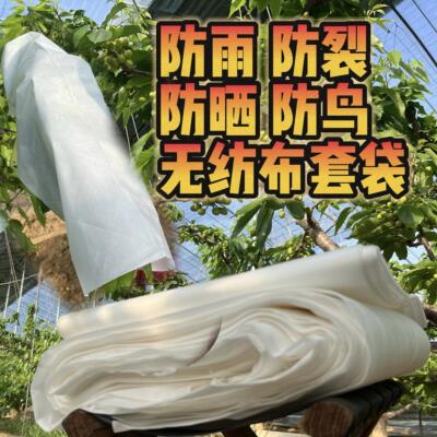 防雨布樱桃，桃，杏，李子防雨防晒防鸟尺寸60×80
