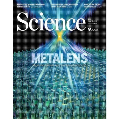 微纳光学仿真设计代做,版图绘制(FDTD,Matlab,Klayout)