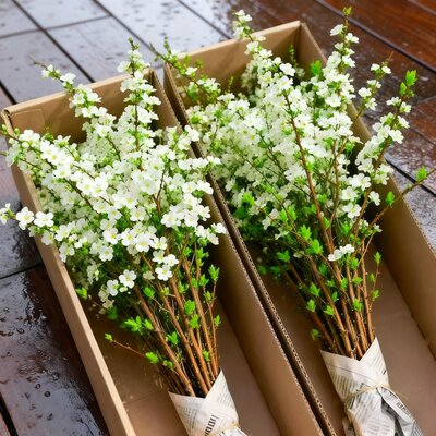 云南新鲜带花苞雪柳水养插花好养活卉耐寒水培水培养绿植