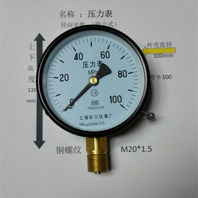高压压力表 直径100mm 压力100mpa 型号 y-100 0~100mpa m20x1.5
