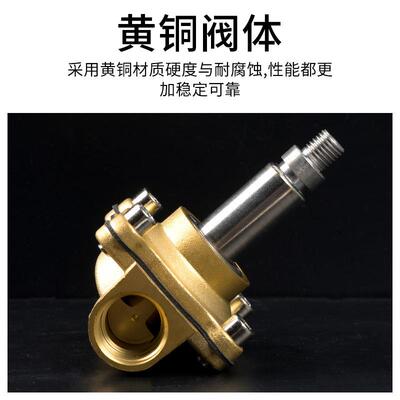 2WV常闭水24V电磁阀220V铜开关制阀2分4分6RJN进分1寸放水控阀12